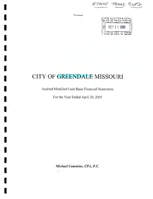 "Audited Modified Cash Basis Financial Statements, 2007" by City of ...